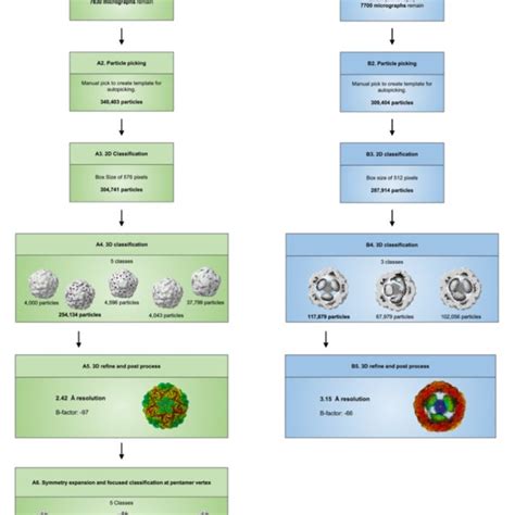 Figure Supplement 2 Cryo Em Processing Workflow The Processing