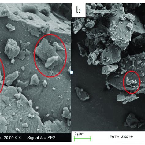 Surface Morphology Of Particles After Grinding For 6 Min Through Download Scientific Diagram