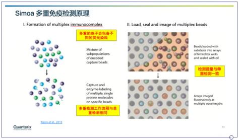 Simoa单分子蛋白检测技术实现多重检测的原理 生物器材网