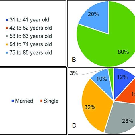Socio Demographic Profiles Of Mandaya Gingerfarmers A Age Download Scientific Diagram