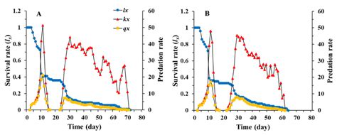 Age Stage Specific Predation Rate í µí± í µí±¥í µí± Of Chrysopa Download Scientific Diagram