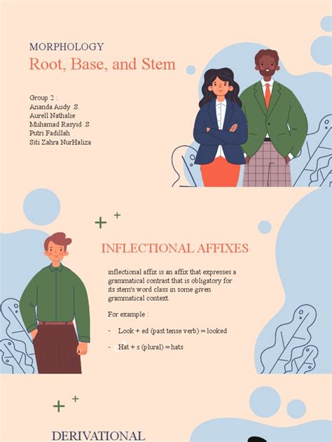 Root Base And Stem Pdf