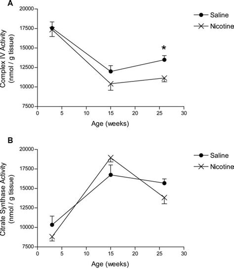 Mitochondrial Enzyme Activity During Postnatal Development A Complex