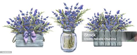 라벤더 꽃과 가지가 활과 유리 병에 나무 상자에 꽃다발 형태로 있습니다 수채화 그림입니다 라벤더 스파 컬렉션의 작곡 세트 장식용 0명에 대한 스톡 벡터 아트 및 기타 이미지