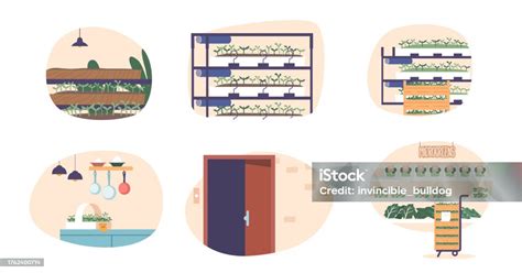 마이크로그린 생산 세트 재배 의 작은 영양이 가득한 채소 수확 초기 단계 벡터 일러스트 레이 션 건강관리와 의술에 대한 스톡
