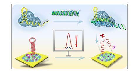 3d Dna Walker Assisted Crisprcas12a Trans Cleavage For Ultrasensitive Electrochemiluminescence