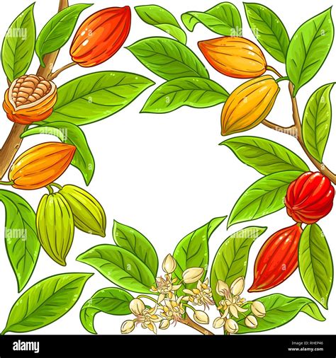 Cocoa Vector Frame On White Background Stock Vector Image And Art Alamy