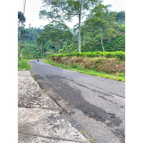 Dijual Tanah View Kebun Teh M Dekat Jembatan Kaca Kemuning Di Karanganyar Jawa Tengah