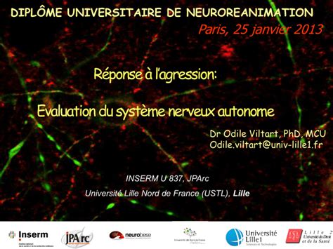 Système Nerveux Autonome
