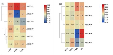 Heatmap Of Relative Rna Seq Expression Of Asechi1 Orthologous Genes A Download Scientific