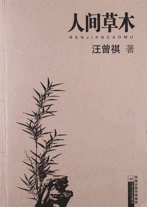 老作家汪曾祺的小碎光阴 人生