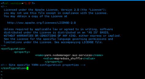 1 1hadoop 伪分布模式安装（hadoop3 0） jhtchina 博客园