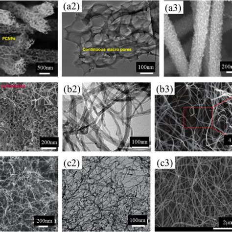 3d Porous Structures Of Cnfs A Schematic Plot For Porous Structure