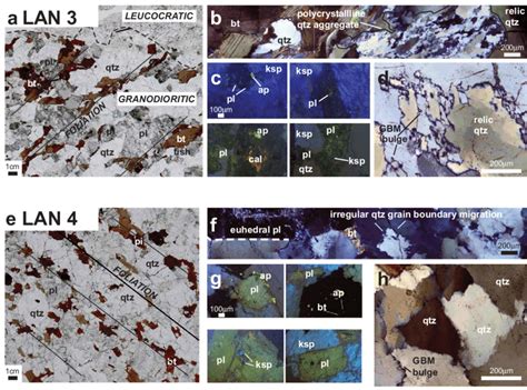 A Thin Section Scan Of Sample Lan3 Dashed Line Indicates The