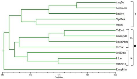 Upgma Dendrogram Showing Genetic Relationship Between Thirteen Mango