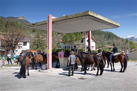 francois curlet cheval vercheny copyright iac blaise adilon Auvergne Rhône Alpes