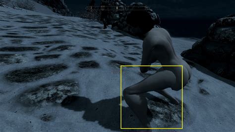 Custom Follower Clipping Skyrim Technical Support Loverslab