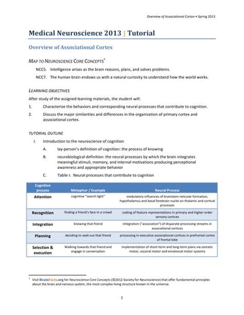 Lecture Of Associational Cortex In Detailpdf