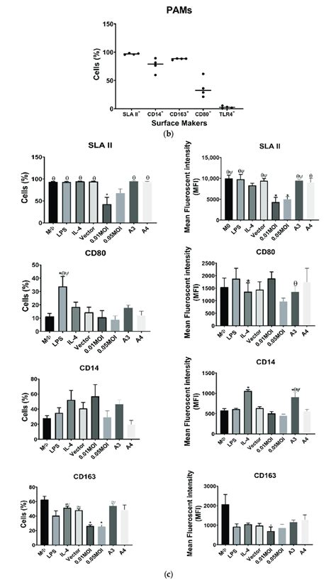 Fresh Isolated Pams Expressed High Levels Of Cd And Susceptible For