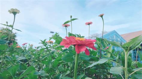 私がヒモを飼うなんて（わたヒモ）のロケ地・撮影場所まとめ