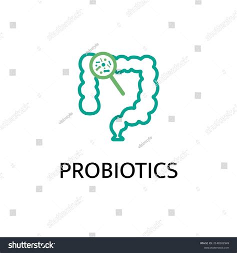 Lactobacillus Probiotics Icon Normal Grampositive Anaerobic Stock