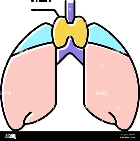 Thymus Endocrinology Color Icon Vector Illustration Stock Vector Image