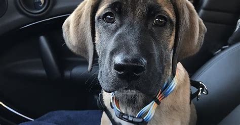 World Meet Atlas Album On Imgur