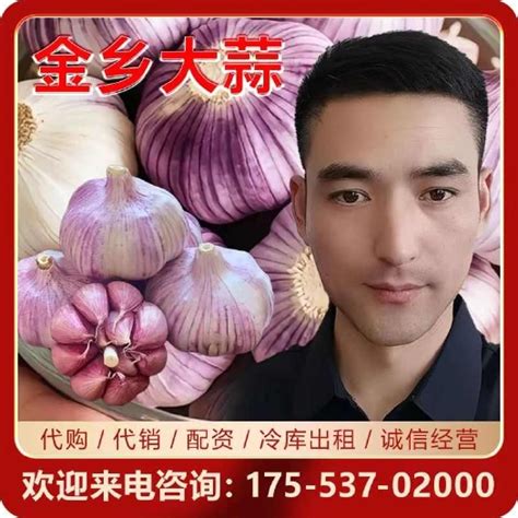 大蒜几月份种？ 惠农网
