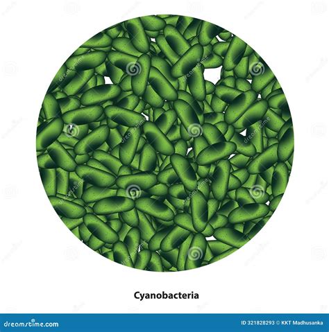 Cyanobacteria Cartoons Illustrations And Vector Stock Images 2135