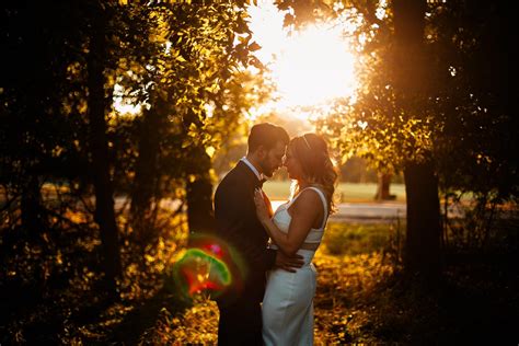 Royal Tree Services Ltd Removing A Tree Stump Is Easy If A