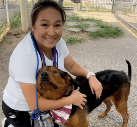 Sad Senior Shelter Dog Gets Adopted Minutes Before He Was Due To Be