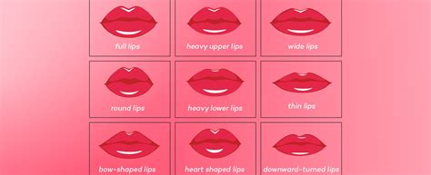 Lip Chart