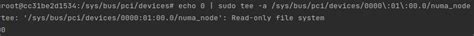 NVIDIA GPU Successful NUMA Node Read From SysFS Had Negative Value