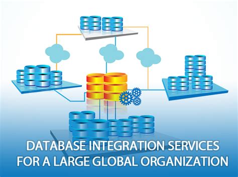 Case Study Database Integration Services FWS