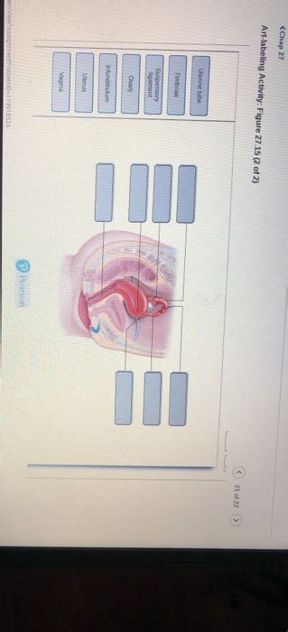 Solved Question Chegg