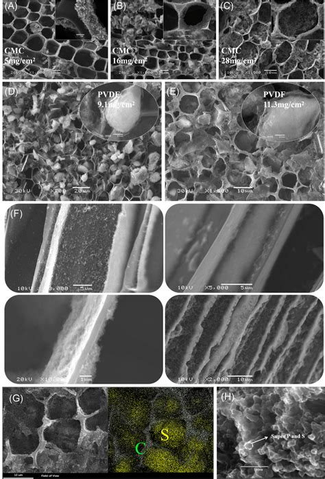 characterization of the c‐hemp cmc s electrode the top surface download scientific diagram