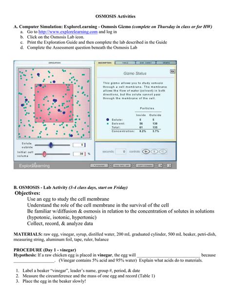 34 Diffusion And Osmosis Answer Key