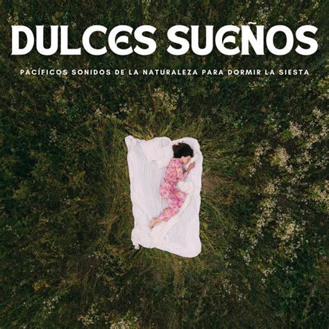 Dulces Sueños Pacíficos Sonidos De La Naturaleza Para Dormir La Siesta