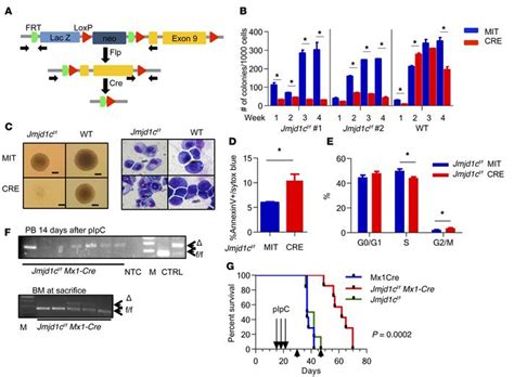 Jci Mll Af9 And Hoxa9 Mediated Acute Myeloid Leukemia Stem Cell Self Renewal Requires Jmjd1c