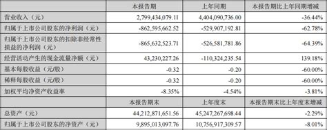 东方园林2022年半年度报告