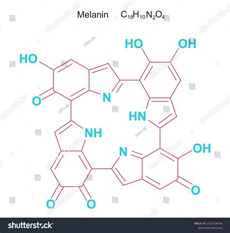 Structure Melanin Illustration On White Background Stock Illustration 2113536536 Shutterstock