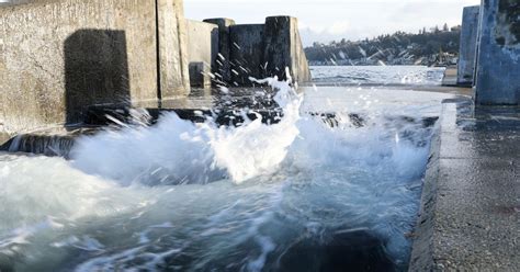 How Was King Tides Amp Up Flood Risks Amid Global Sea Level Rise The