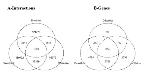 The Use Of Gene Interaction Networks To Improve The Identification Of