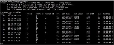 Ldp To Sr Migration In Mpls Networks With Ocnos Ip Infusion