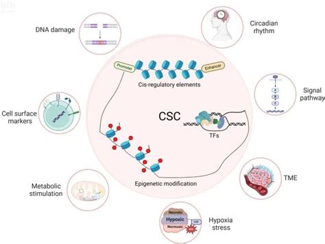 Journal Of Experimental And Clinical Cancer Research On Linkedin