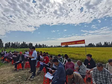 原来党课可以这样上 ——田间地头上的音乐党课 江门市新会区文化馆