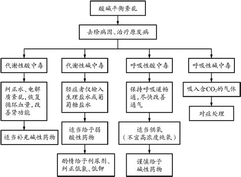 第二十三节 酸碱平衡紊乱 临床治疗 医学