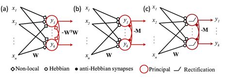 Single Layer Nns Performing Online A Reconstruction Error