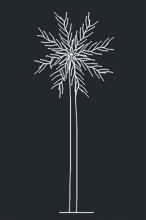 Free Cad Block Of A Palm Tree Elevations Palm Trees Cad Blocks