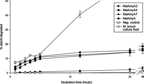Degradation Of Granular Starch By The Bacterium Microbacterium Aurum